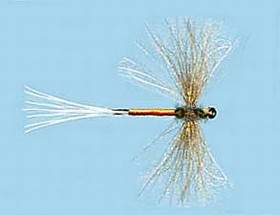 Turrall CDC Spinner Sherry Trout Flies | Fly Fishing Flies