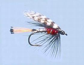 Turrall Wet Winged Peter Ross Trout Flies | troutcatchers