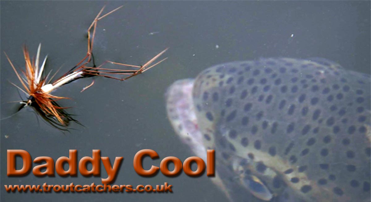 Daddy Long Legs Flies | Crane Flies| troutcatchers