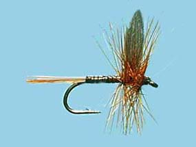 Turrall Dry Winged Red Quill Trout Flies | Fly Fishing Flies ...