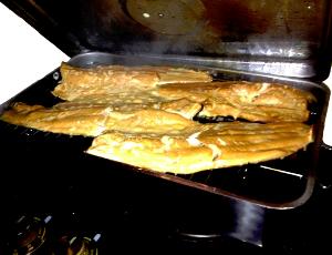 Snowbee Smoker Cooker | troutcatchers