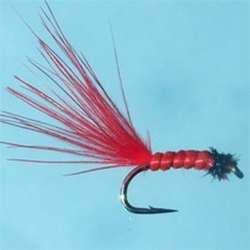 Turrall Bloodworm Micro Fly Coarse Flies | troutcatchers