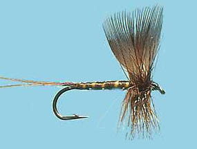 Turrall Mayfly Brown Drake Trout Flies | Fly Fishing Flies | troutcatchers