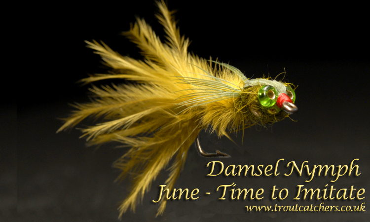 Damsel-Nymph-Fly-Fishing