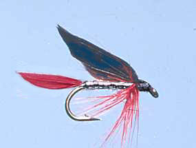 Turrall Wet Winged Bloody Butcher Trout Flies | troutcatchers